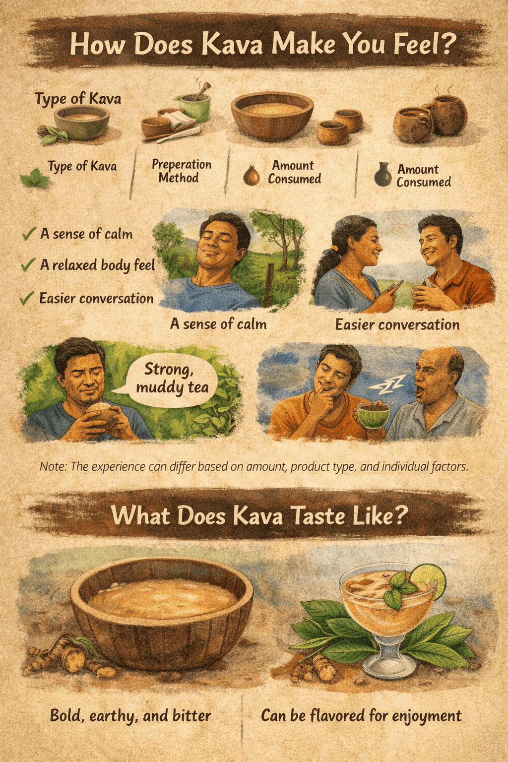 What Is Kava A Complete Beginner S Guide By Mitraman Mitraman Botanicals